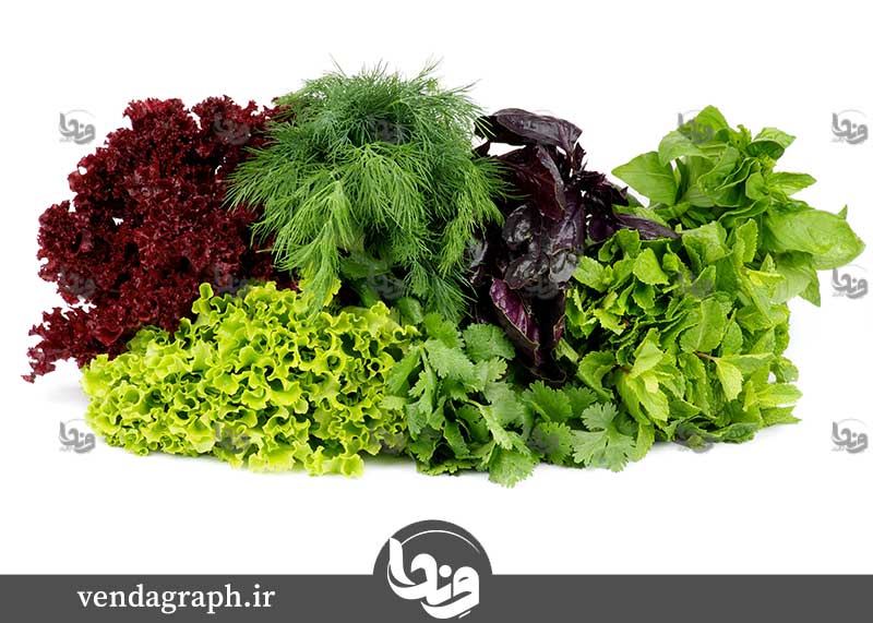 عکس باکیفیت سبزی | وندا گراف